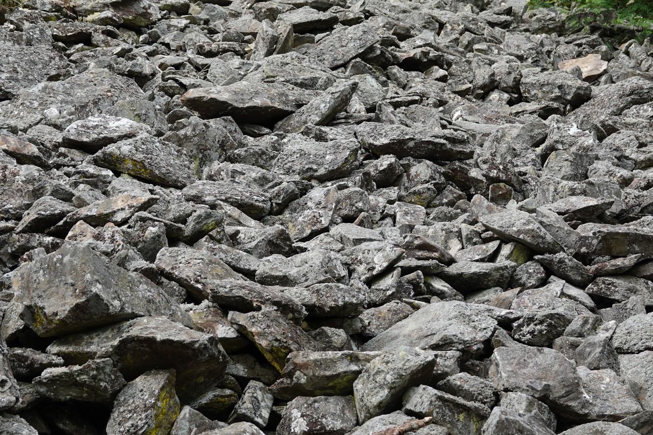 Talus Scree Rock Rubble (DSC02138) – DrFeezell.com
